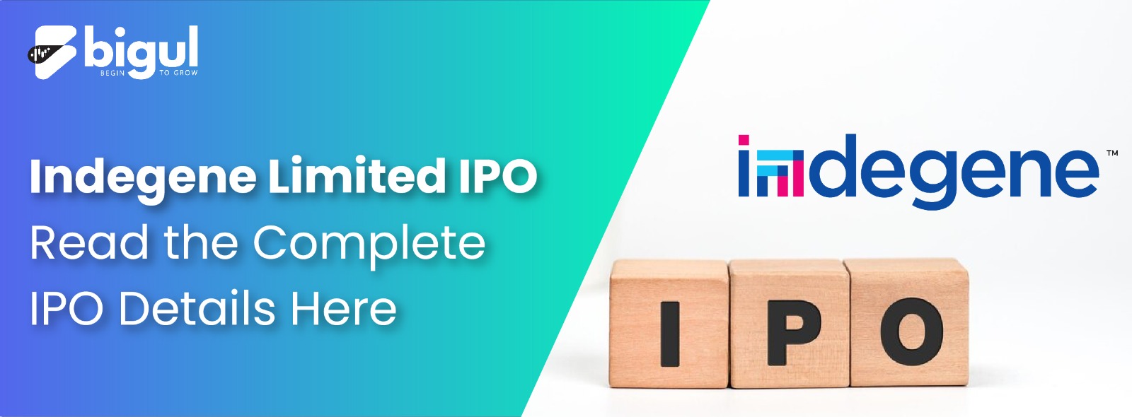Indegene Limited IPO: Read the Complete IPO Details Here